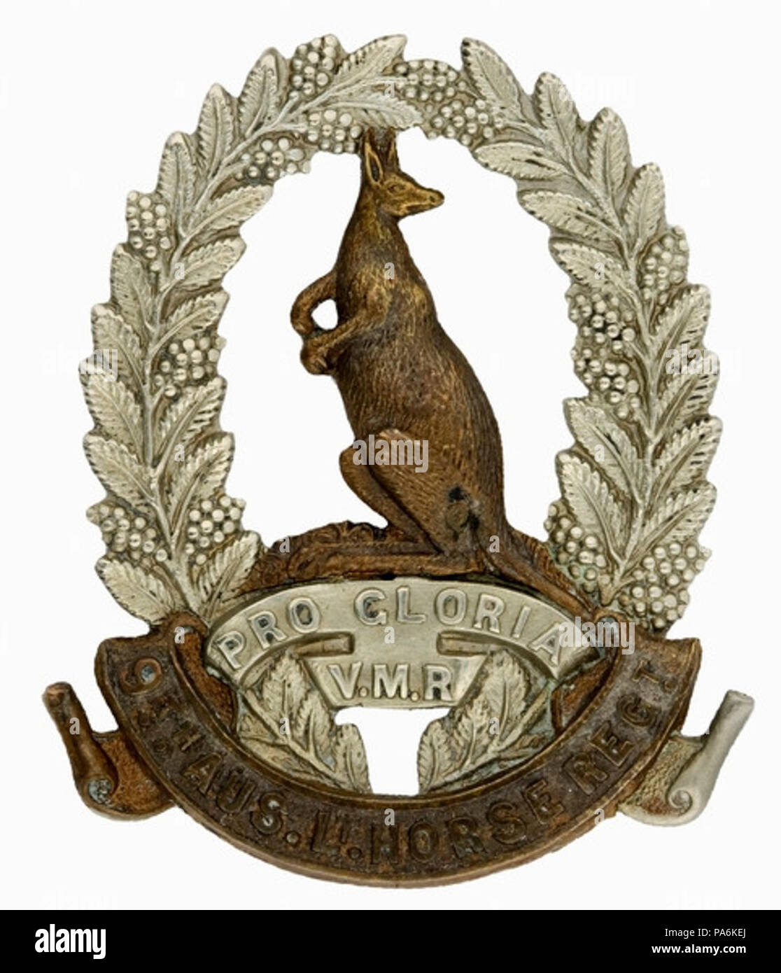 9 9th Light Horse hat badge Stock Photo - Alamy