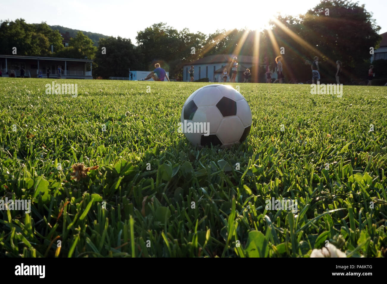 mini football at sports field Stock Photo - Alamy