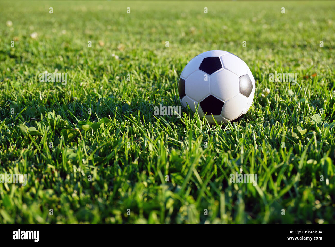 mini football at green grass Stock Photo - Alamy