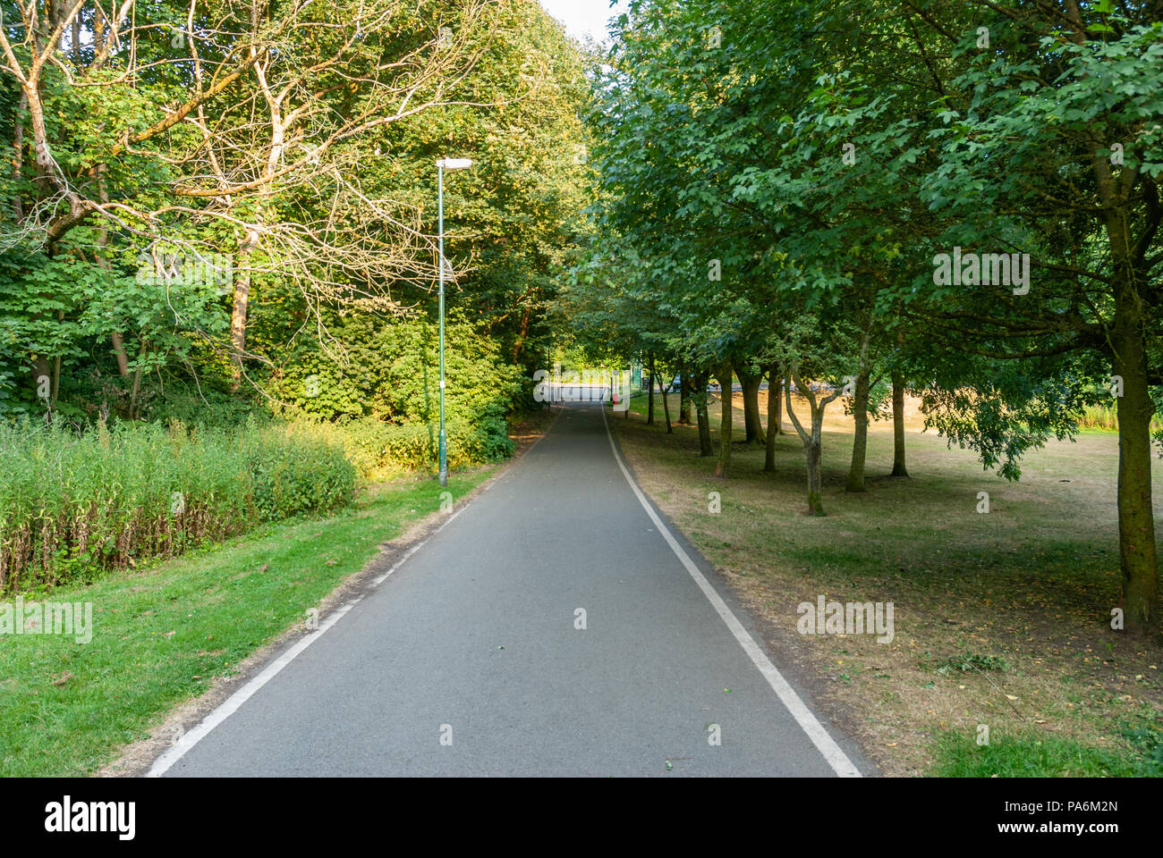 English Country Lane Stock Photo - Alamy