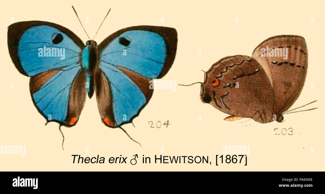 Erix hi-res stock photography and images - Alamy