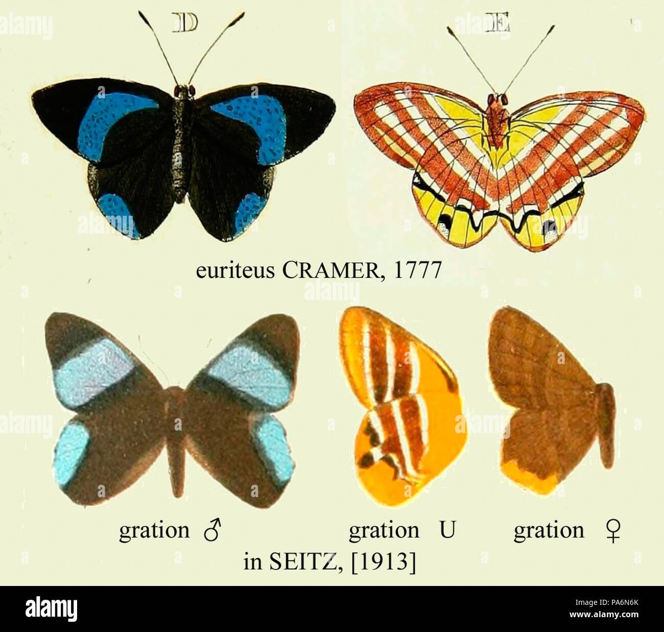 Gration hi-res stock photography and images - Alamy