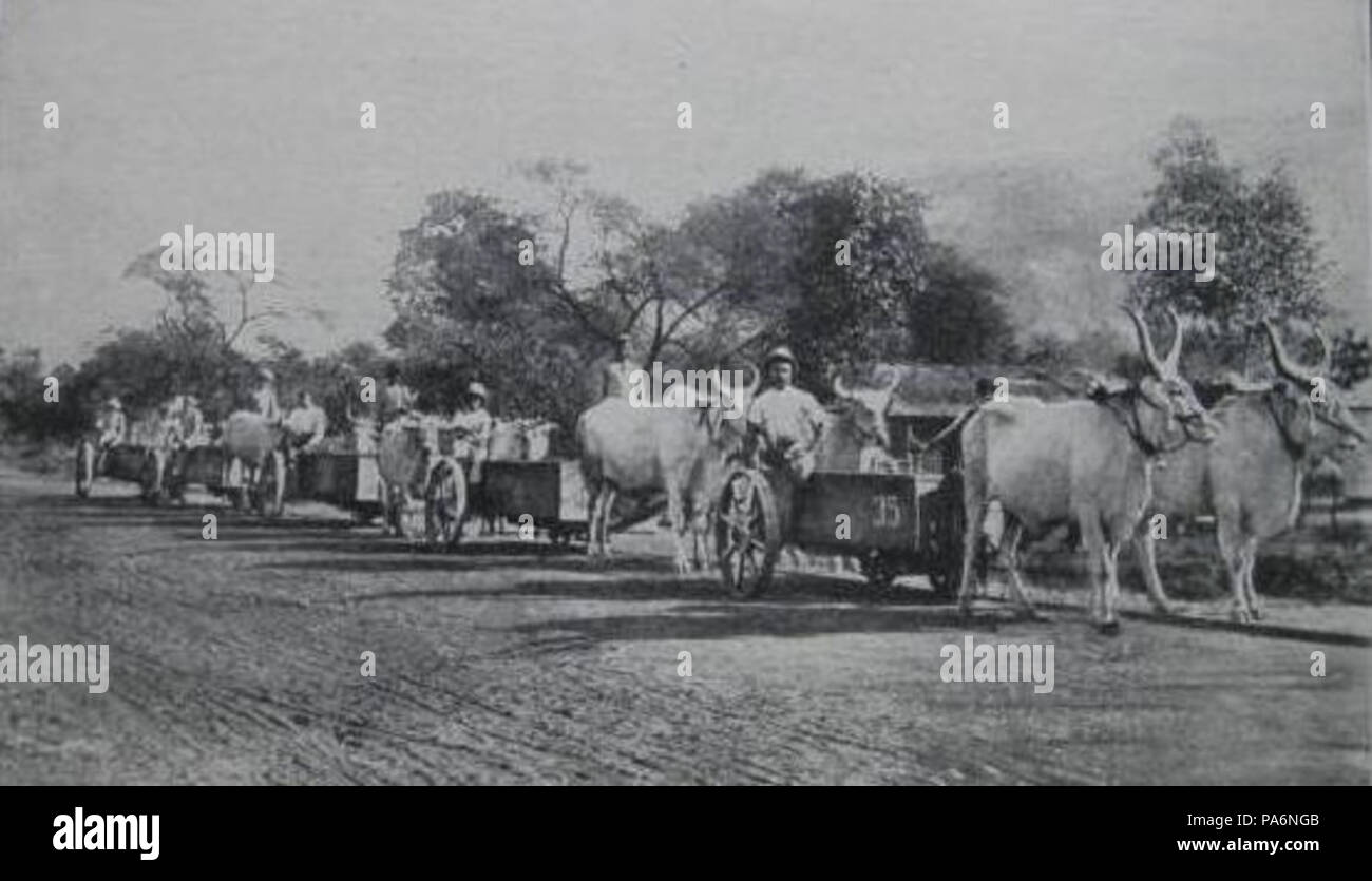 193 Patiala State Monorail Trainways - One team of bullocks can haul in ...