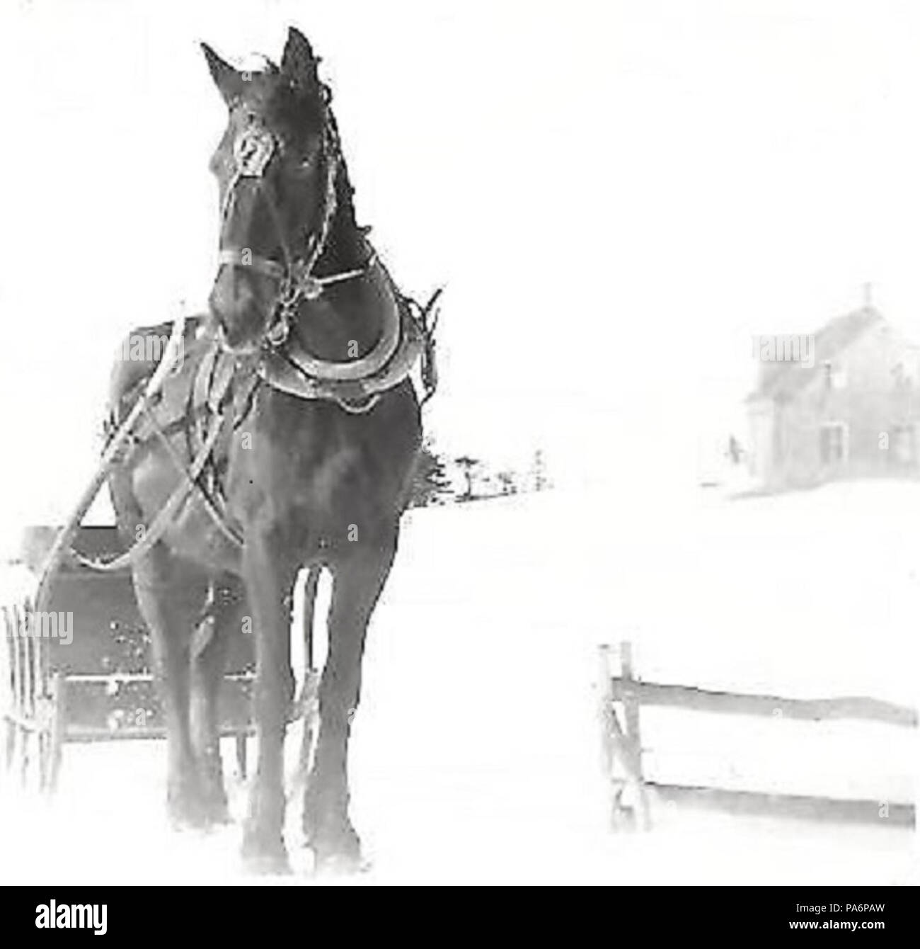 John paget hi-res stock photography and images - Alamy