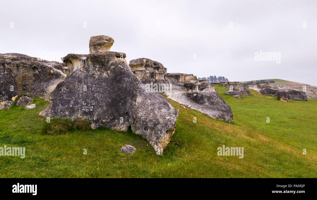 Waitaki new zealand cycle hi-res stock photography and images - Alamy