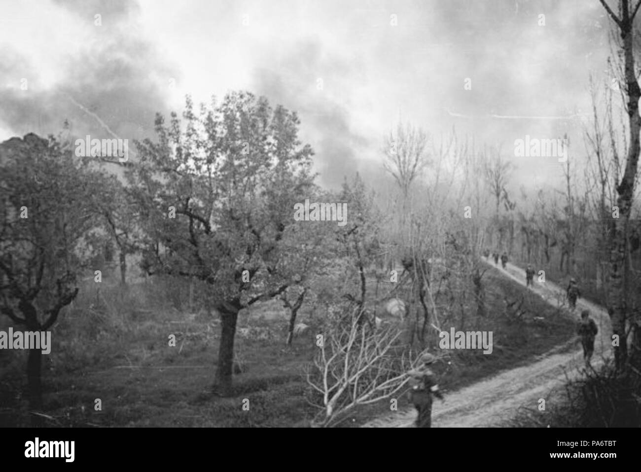 8 25th Battalion infantry during the attack on the Senio River, 1945 ...