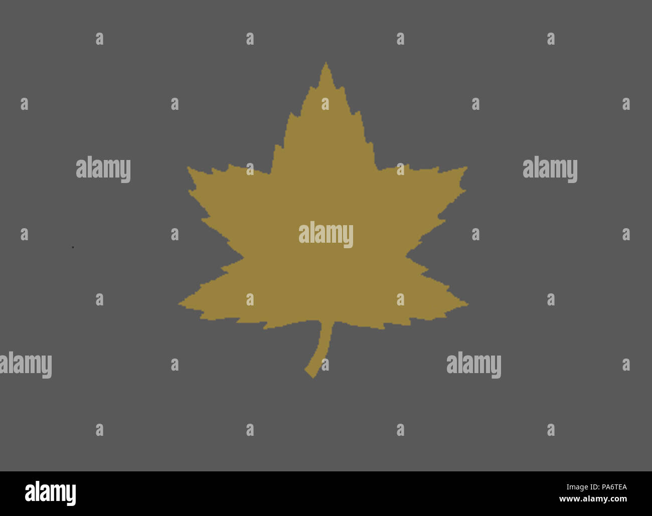 Canadian 3rd infantry division hi-res stock photography and images - Alamy