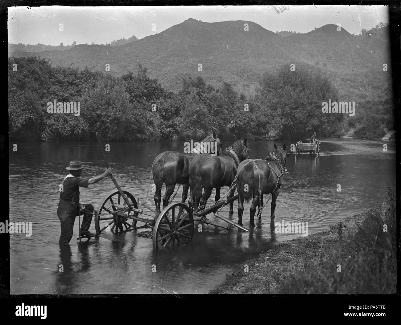10 A man fording a river with a three-horse team pulling a plough-like ...