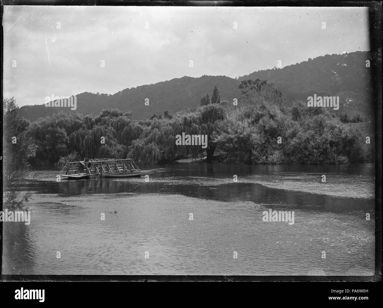 10 A punt, transporting a horse, being winched across the Waipa River ...