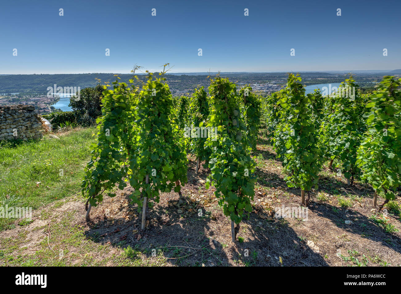 vineyards of Ampuis, Rhône Valley, France Stock Photo - Alamy