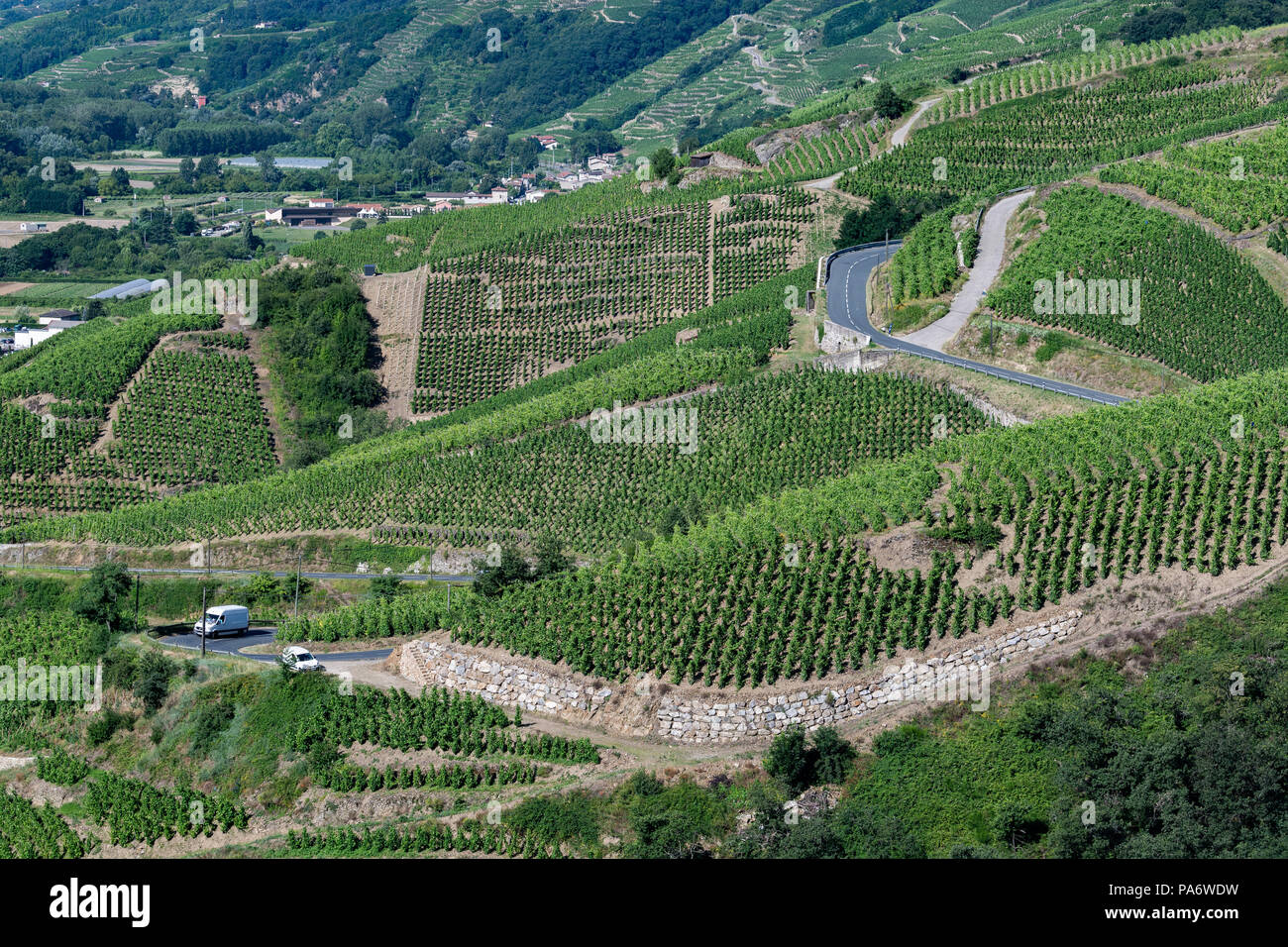 vineyards of Côte-Rôtie at Ampuis, Rhône, France Stock Photo - Alamy