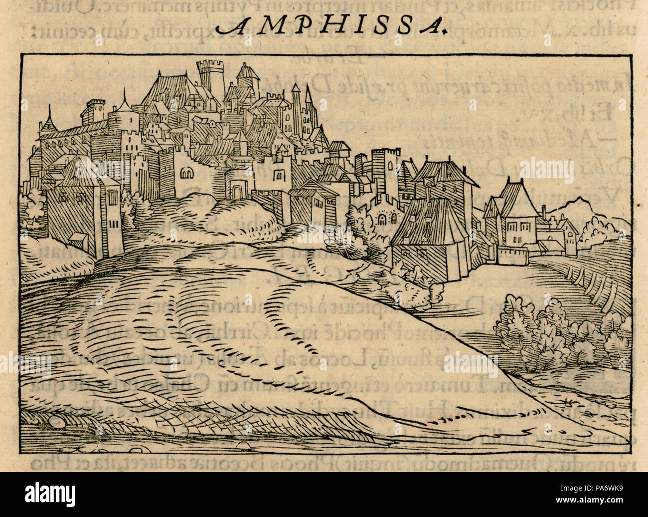 Amphissa hi-res stock photography and images - Alamy