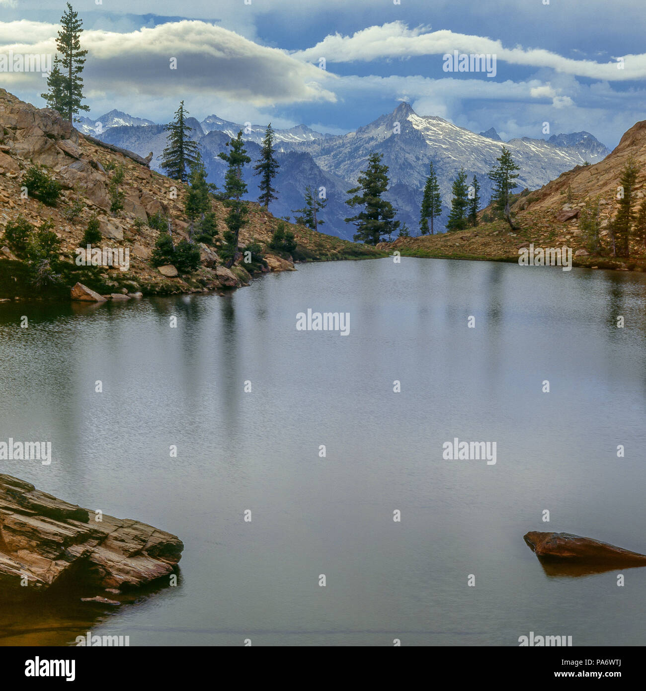 Alpine forest alps hi-res stock photography and images - Alamy