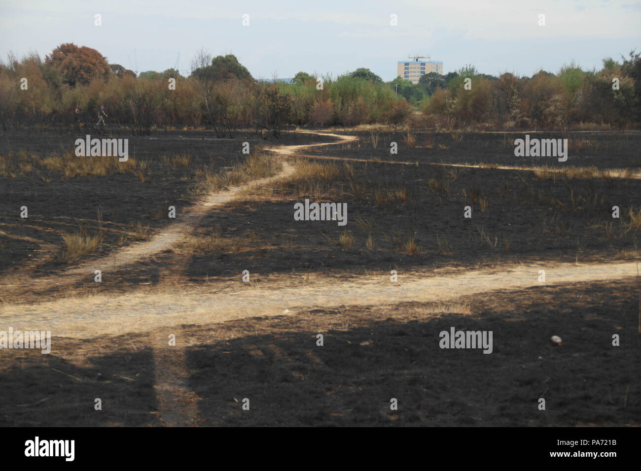Churred bushes hi-res stock photography and images - Alamy