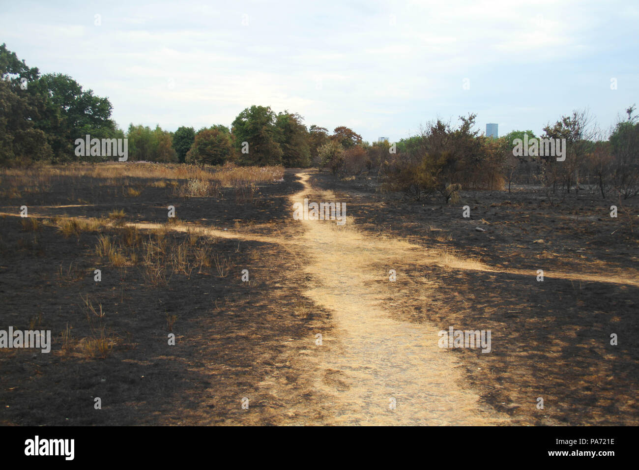 Churred bushes hi-res stock photography and images - Alamy