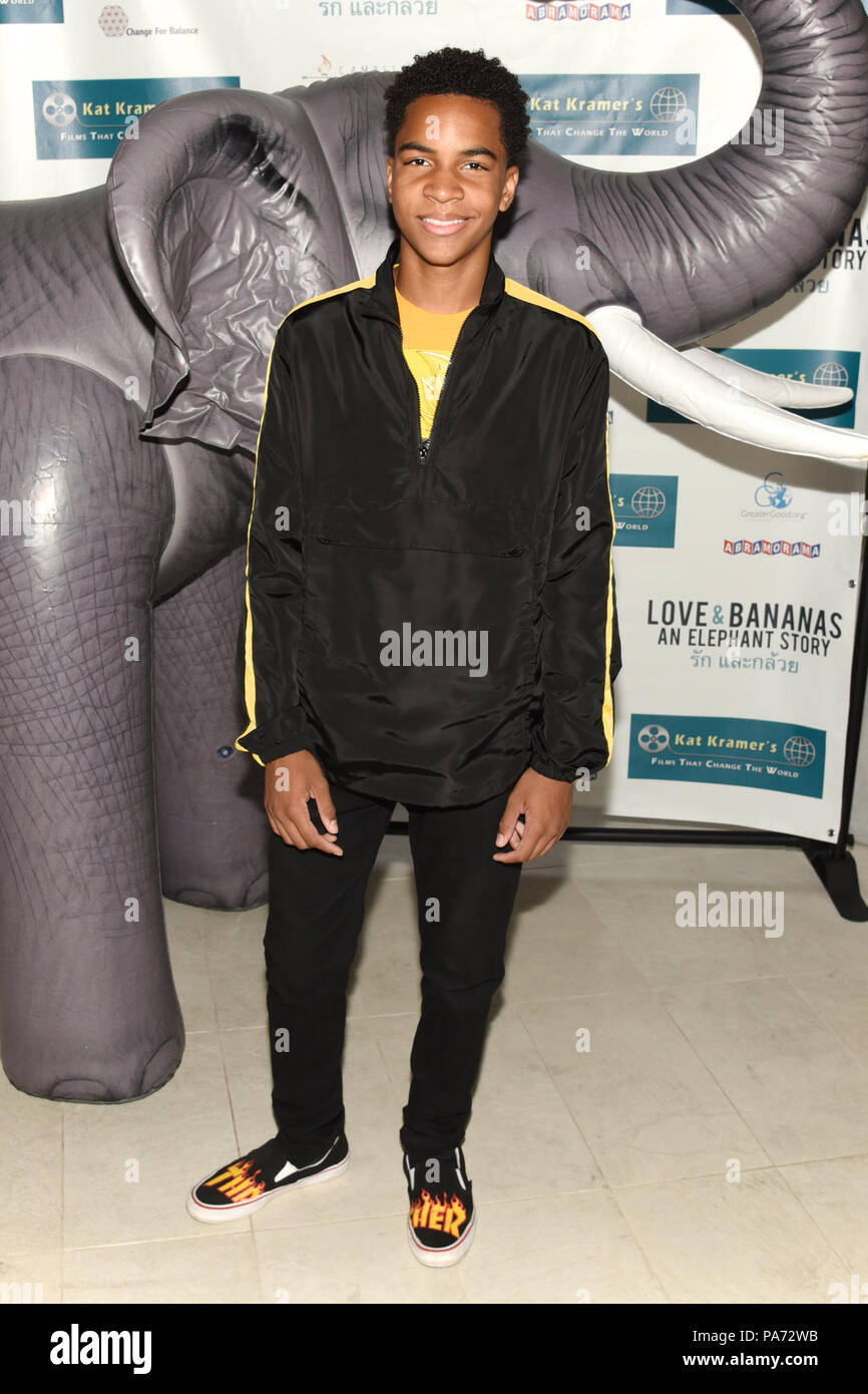 Los Angeles, California, USA. 18th July, 2018. TERRELL RANSOM JR ...