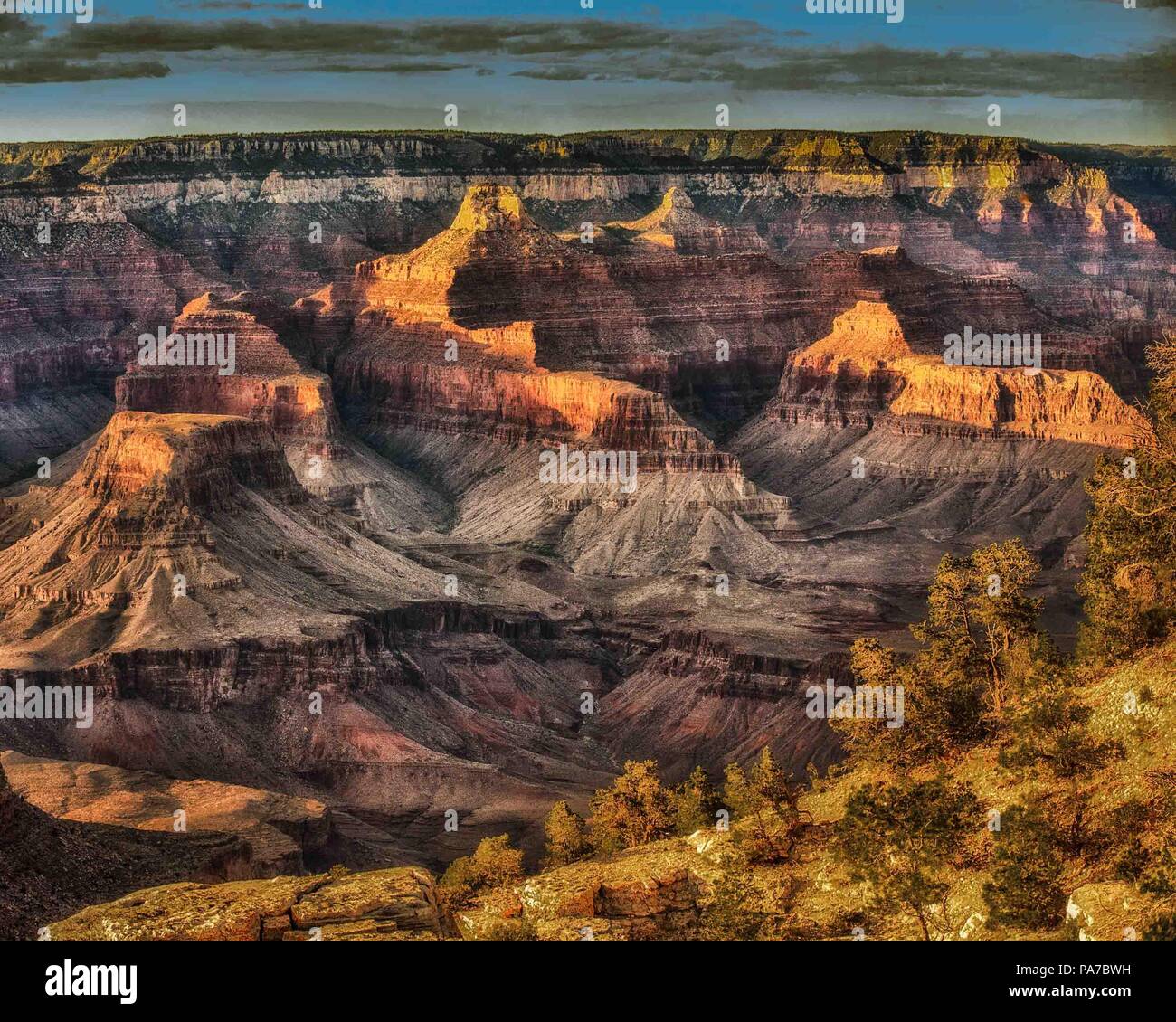 Arizona, USA. 29th May, 2018. The slanted late afternoon light accents ...