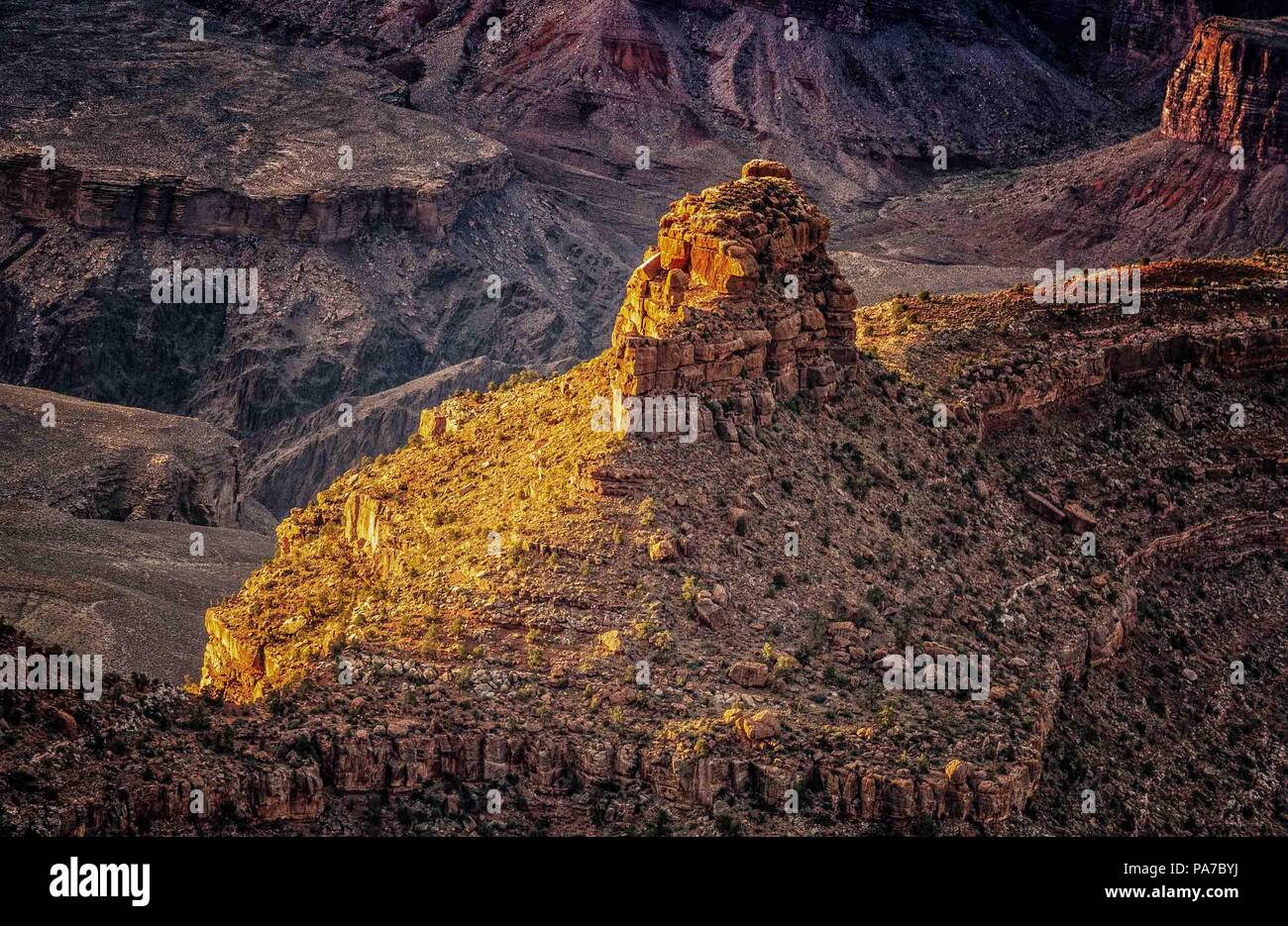 Arizona, USA. 29th May, 2018. The slanted late afternoon light accents ...