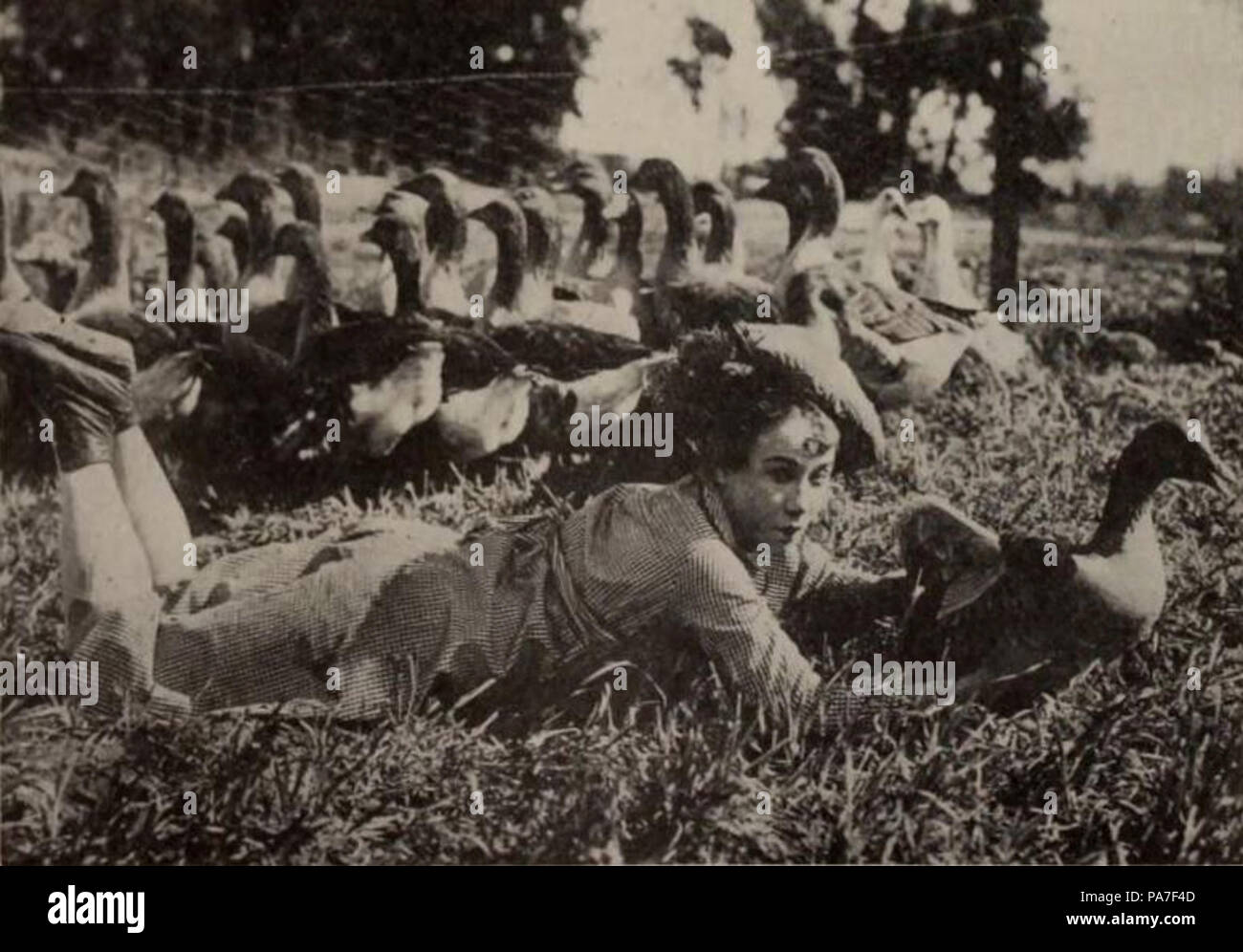 Farm 1920 hi-res stock photography and images - Alamy