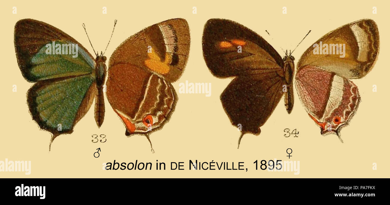 97 Absolon inNiceville1895 Stock Photo - Alamy