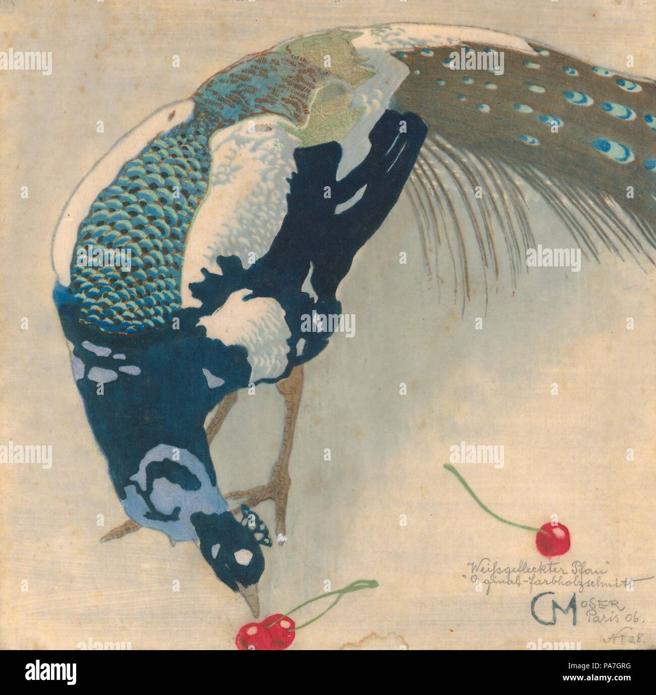 White-Spotted Peacock. Museum: Tiroler Landesmuseum Ferdinandeum ...