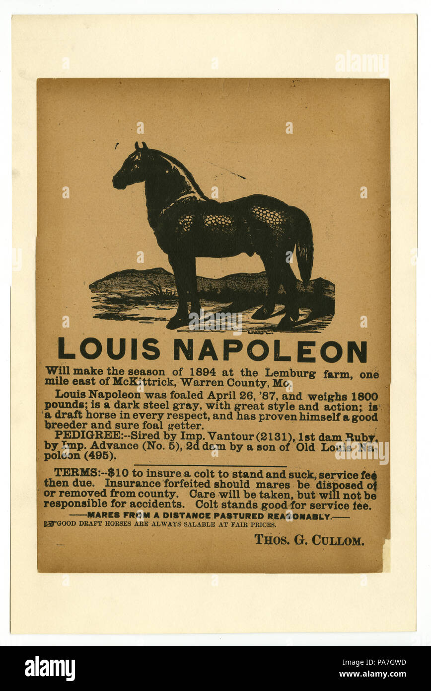 249 Broadside advertising draft horse Louis Napoleon for service, 1894 ...