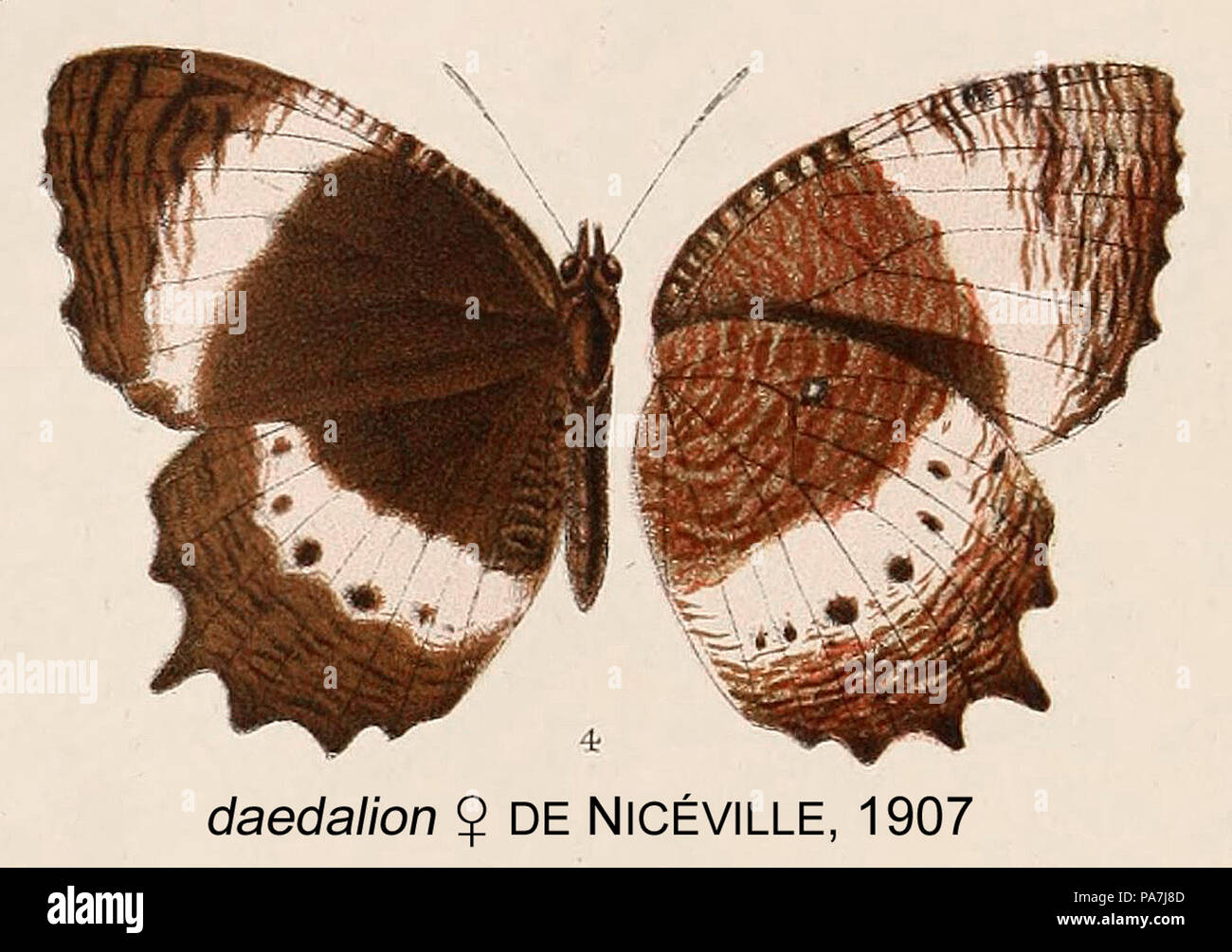 Early 20th century symbolic art hi-res stock photography and images - Alamy