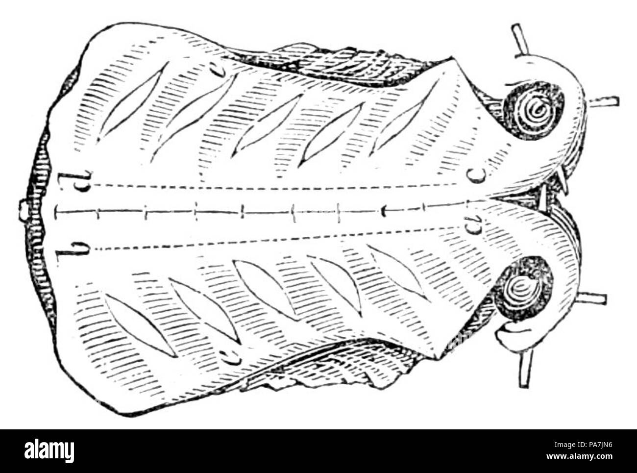 English leisure Cut Out Stock Images & Pictures - Alamy