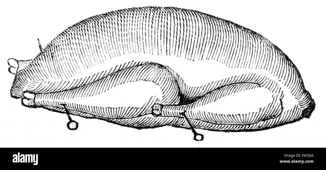 Traditional english holiday Black and White Stock Photos & Images - Alamy