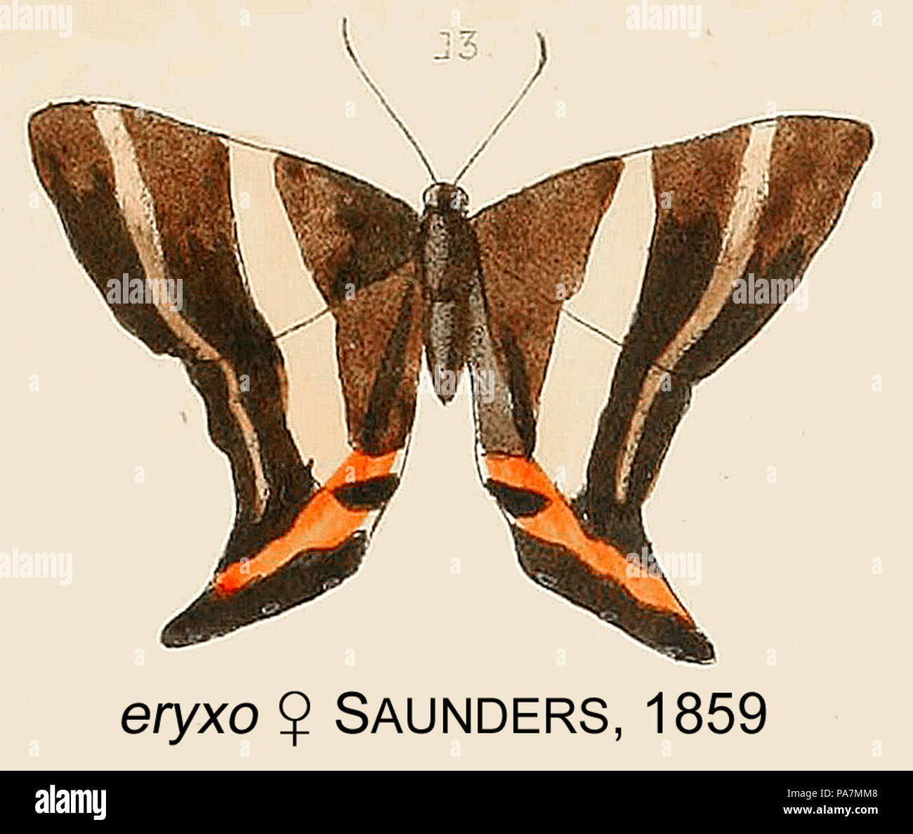 626 hi-res stock photography and images - Alamy