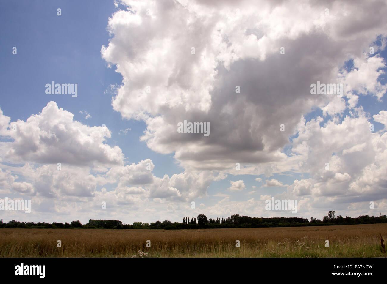 Great hungarian plain hi-res stock photography and images - Alamy