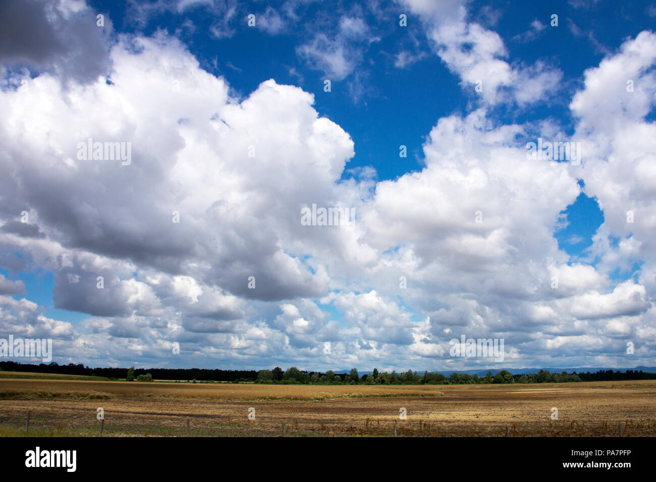 Hungarian colours hi-res stock photography and images - Alamy