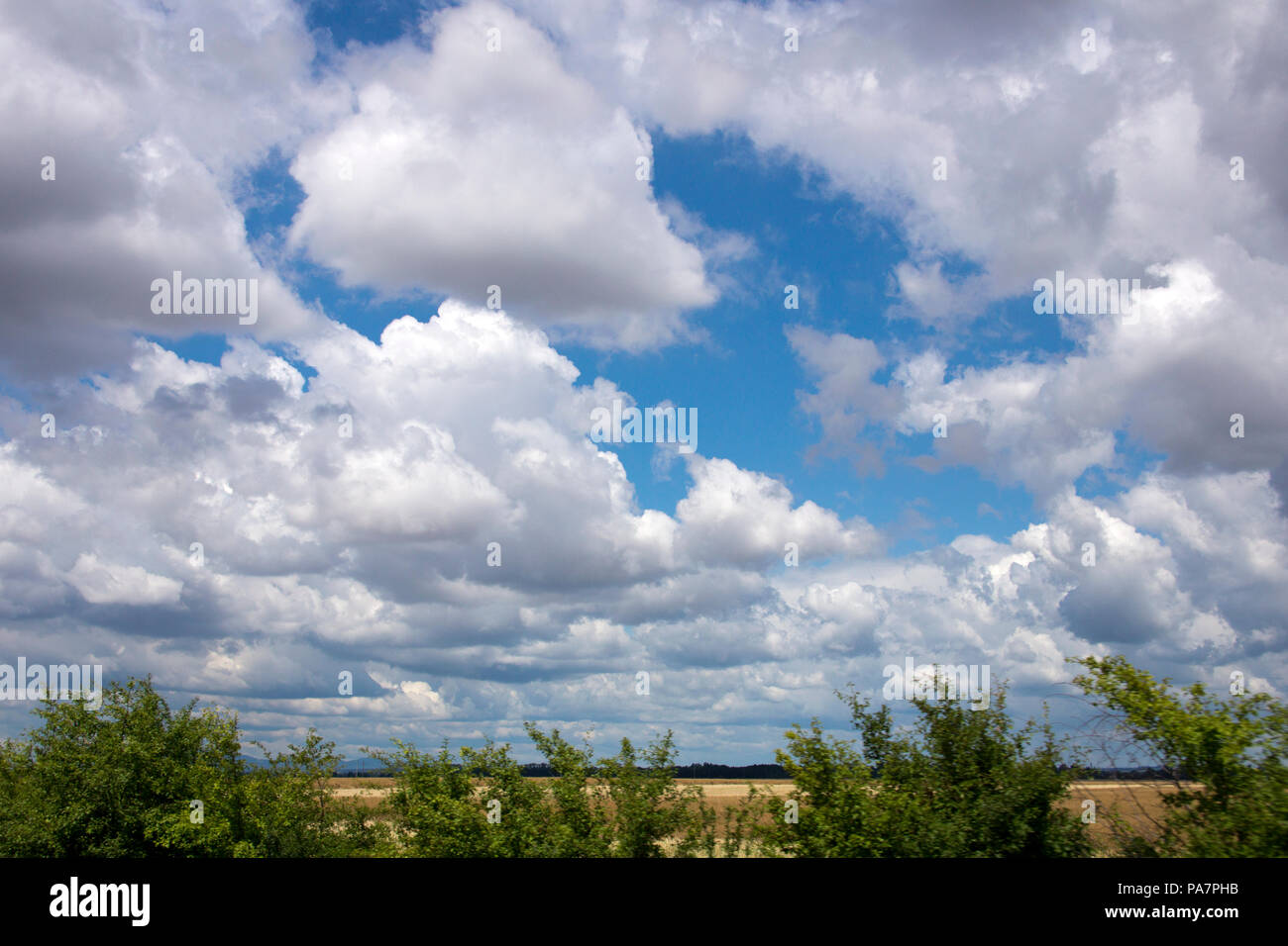 Great Hungarian Plain