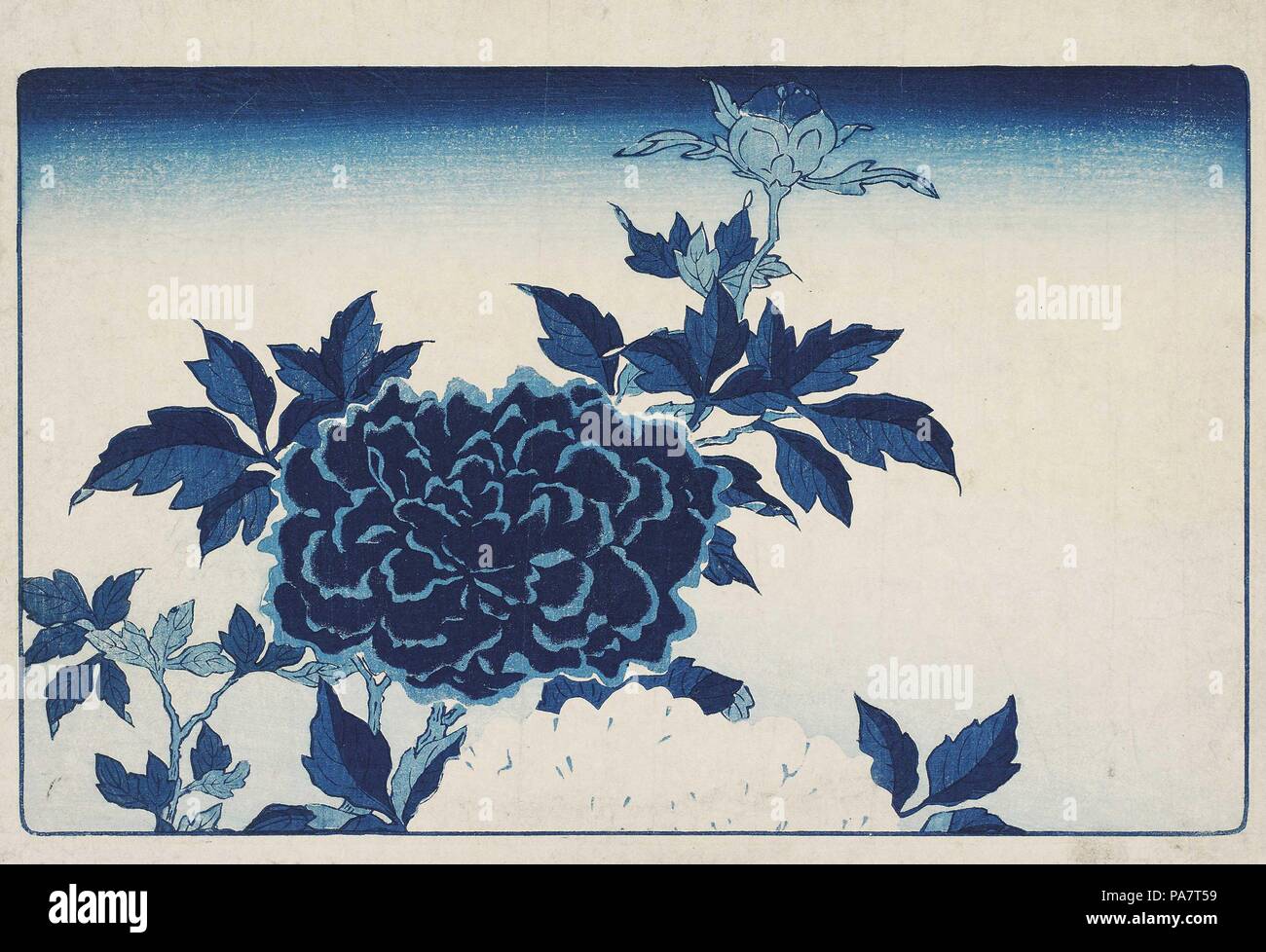 Aizuri-e with flowers. Museum: PRIVATE COLLECTION Stock Photo - Alamy