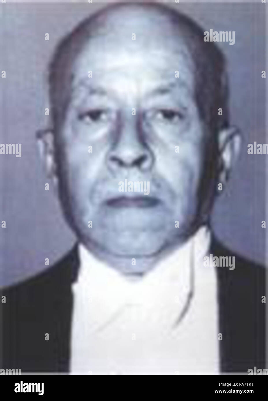 Toukan hi-res stock photography and images - Alamy