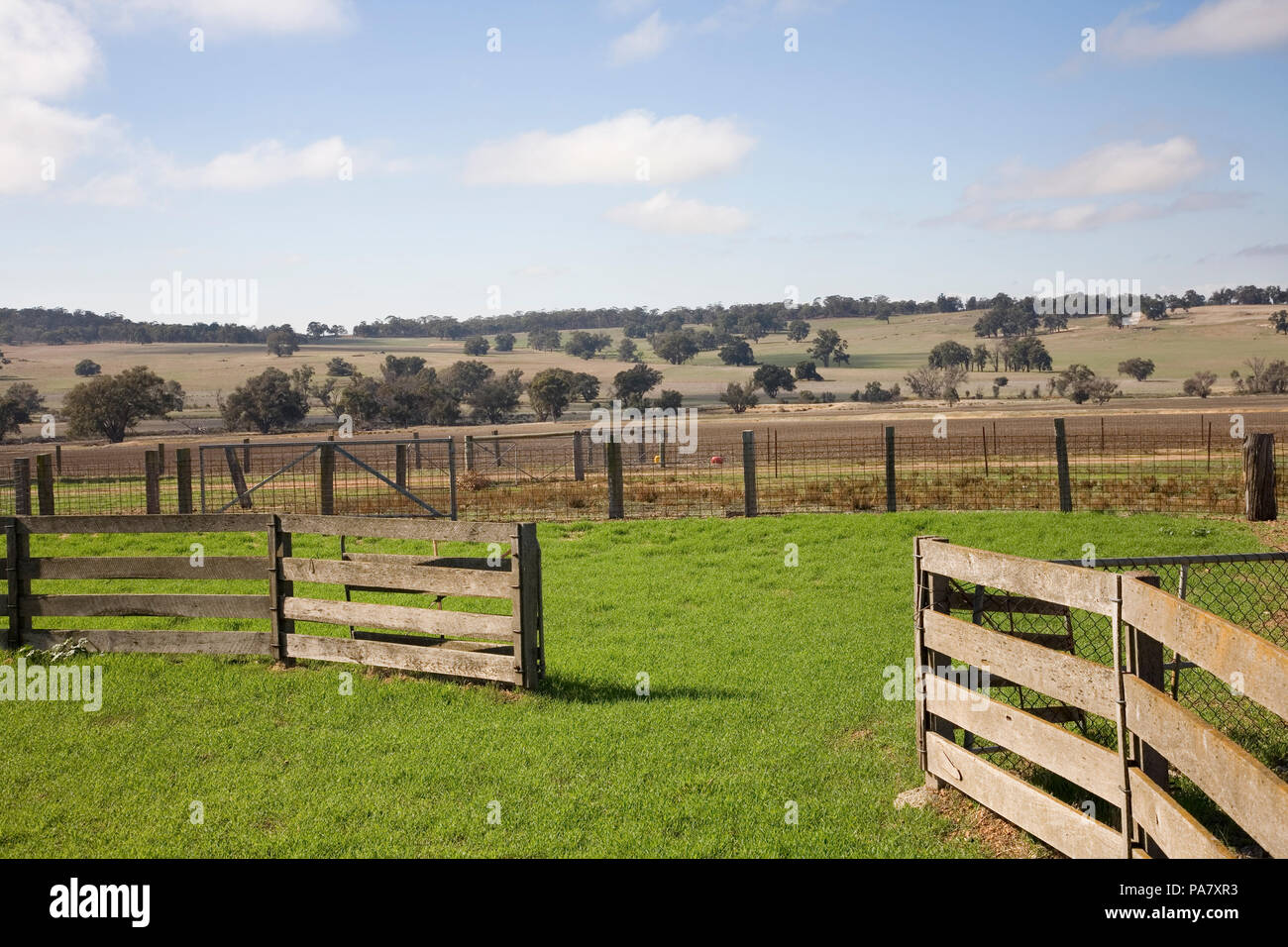 Stock in yards hi-res stock photography and images - Alamy