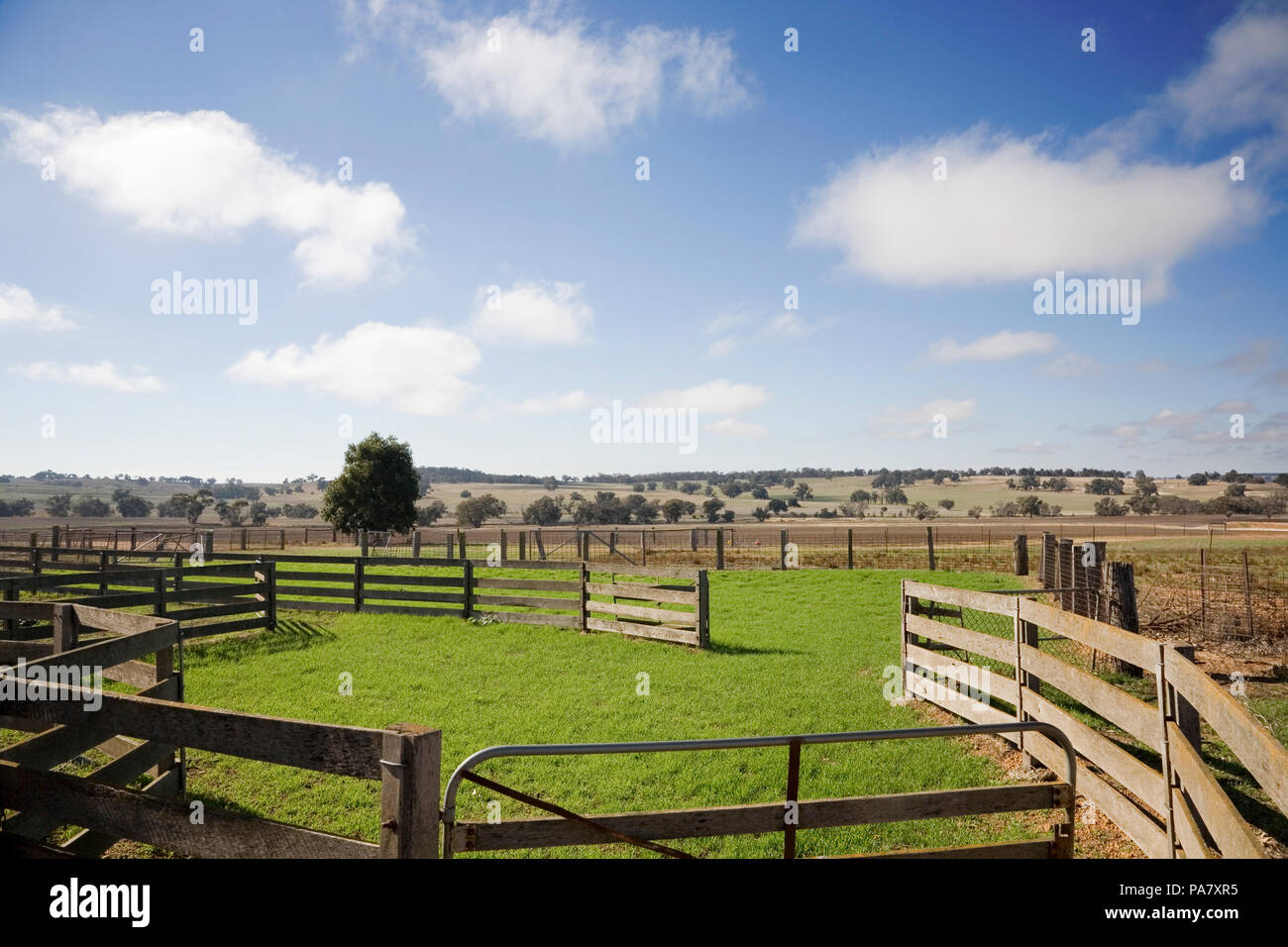 Empty Sheep Pen High Resolution Stock Photography and Images - Alamy