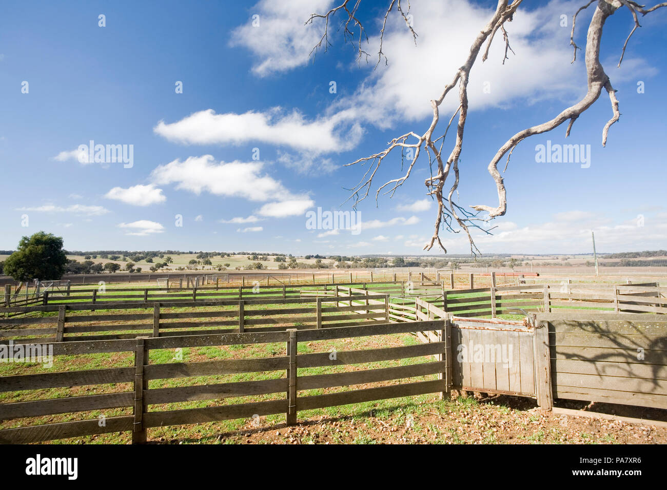 Wooden cattle yards hi-res stock photography and images - Alamy