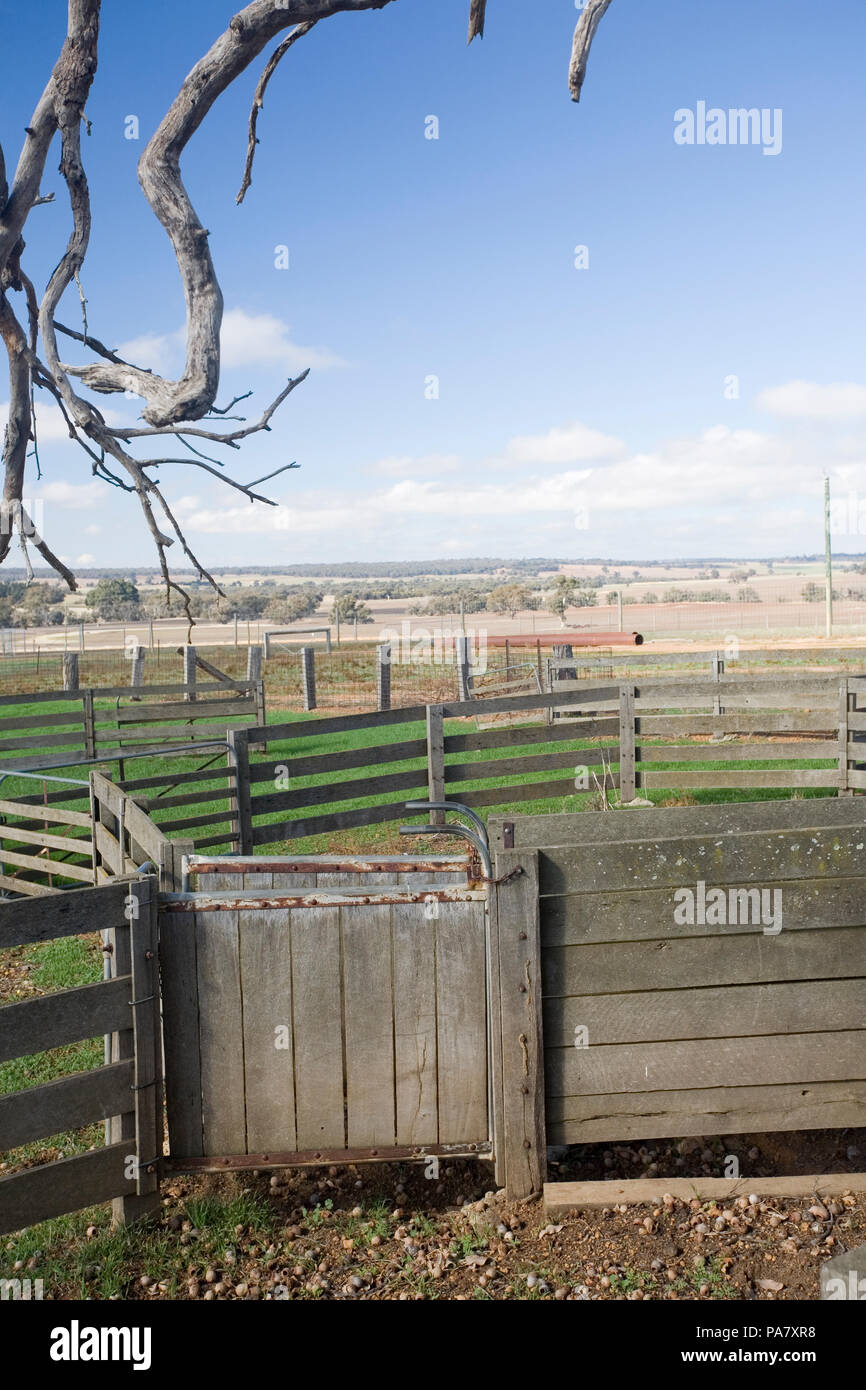 Cattle yards hi-res stock photography and images - Alamy