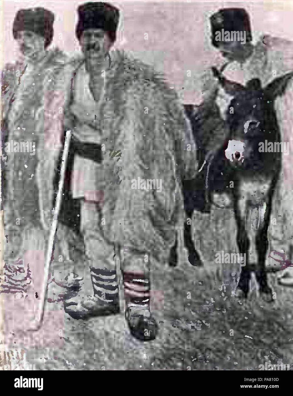 Tarani hi-res stock photography and images - Alamy