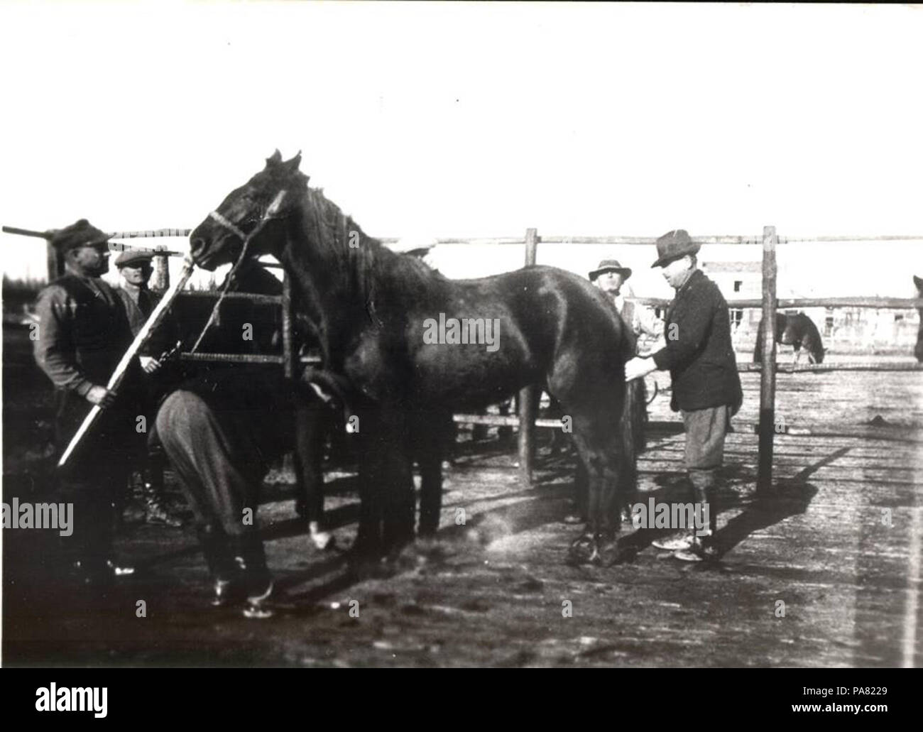 Farming italy 1900s hi-res stock photography and images - Alamy