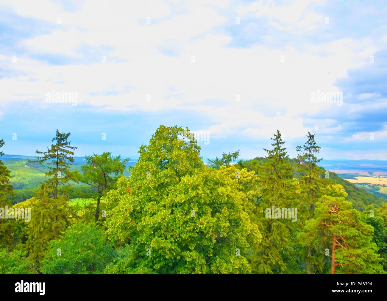 Beautiful summer landscape with blue and white clouds Stock Photo - Alamy