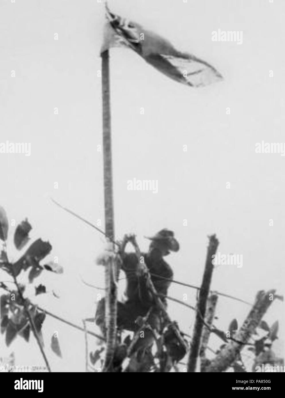 Salute, flag, military Black and White Stock Photos & Images - Alamy