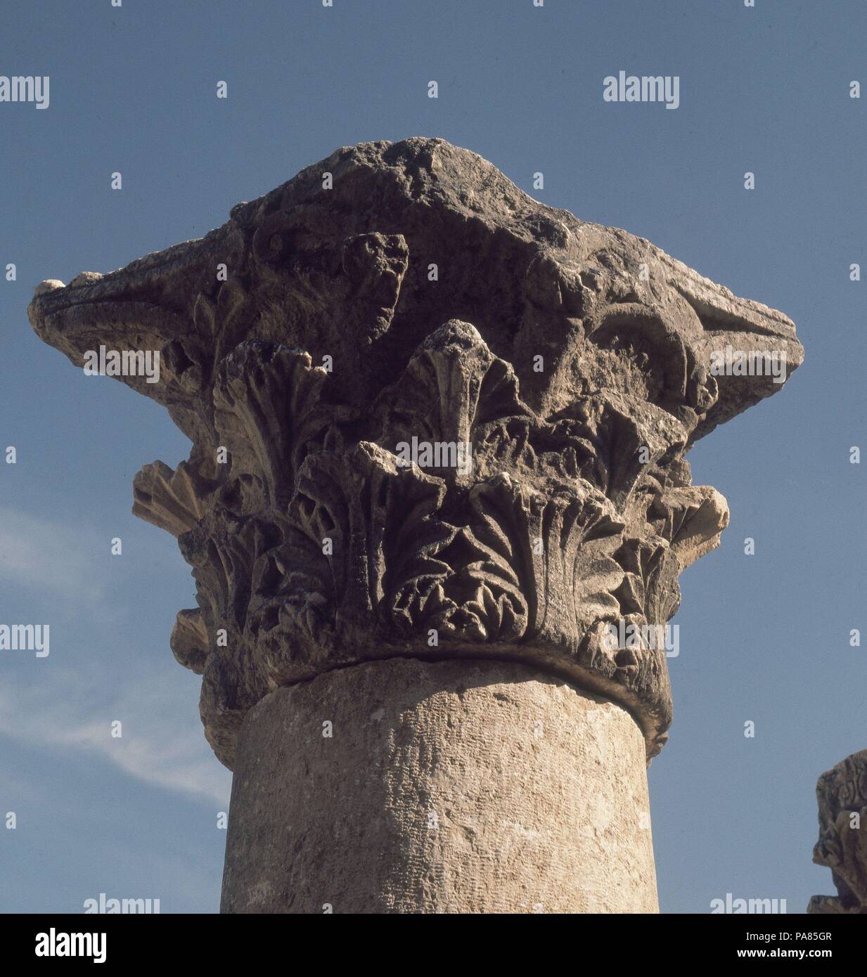 Capital foliaceus hi-res stock photography and images - Alamy