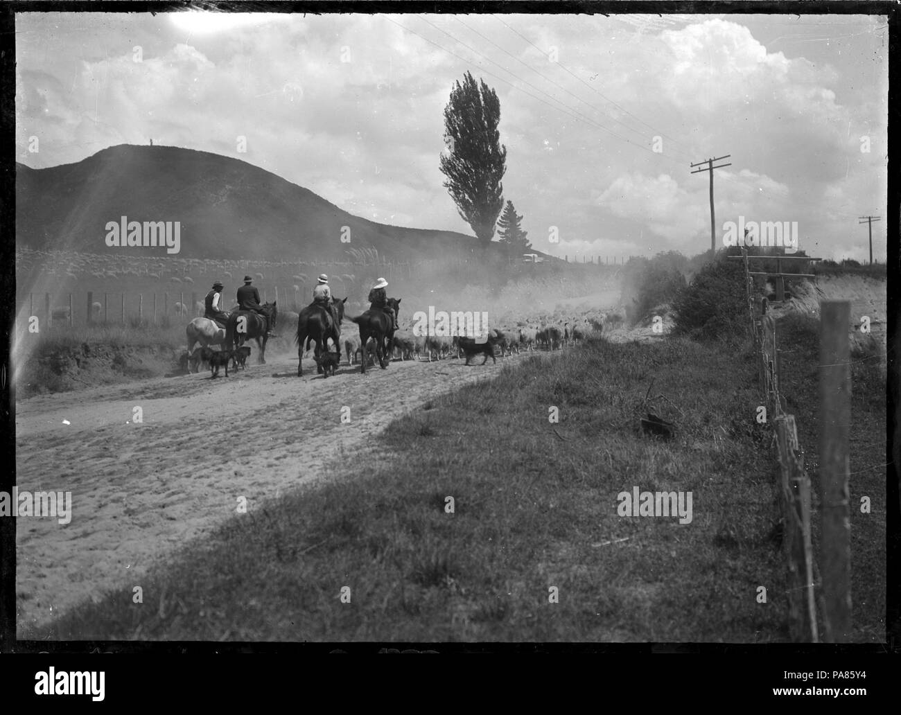 Awakeri hi-res stock photography and images - Alamy