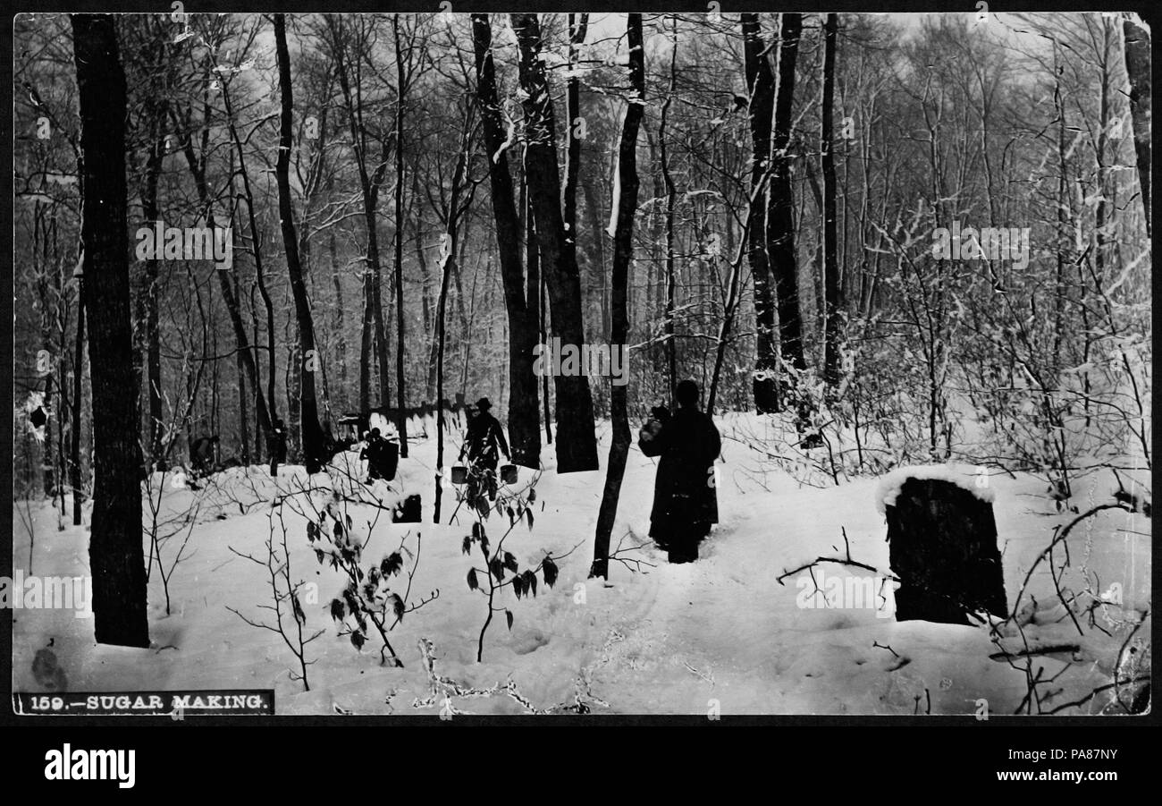 Erabliere hi-res stock photography and images - Alamy