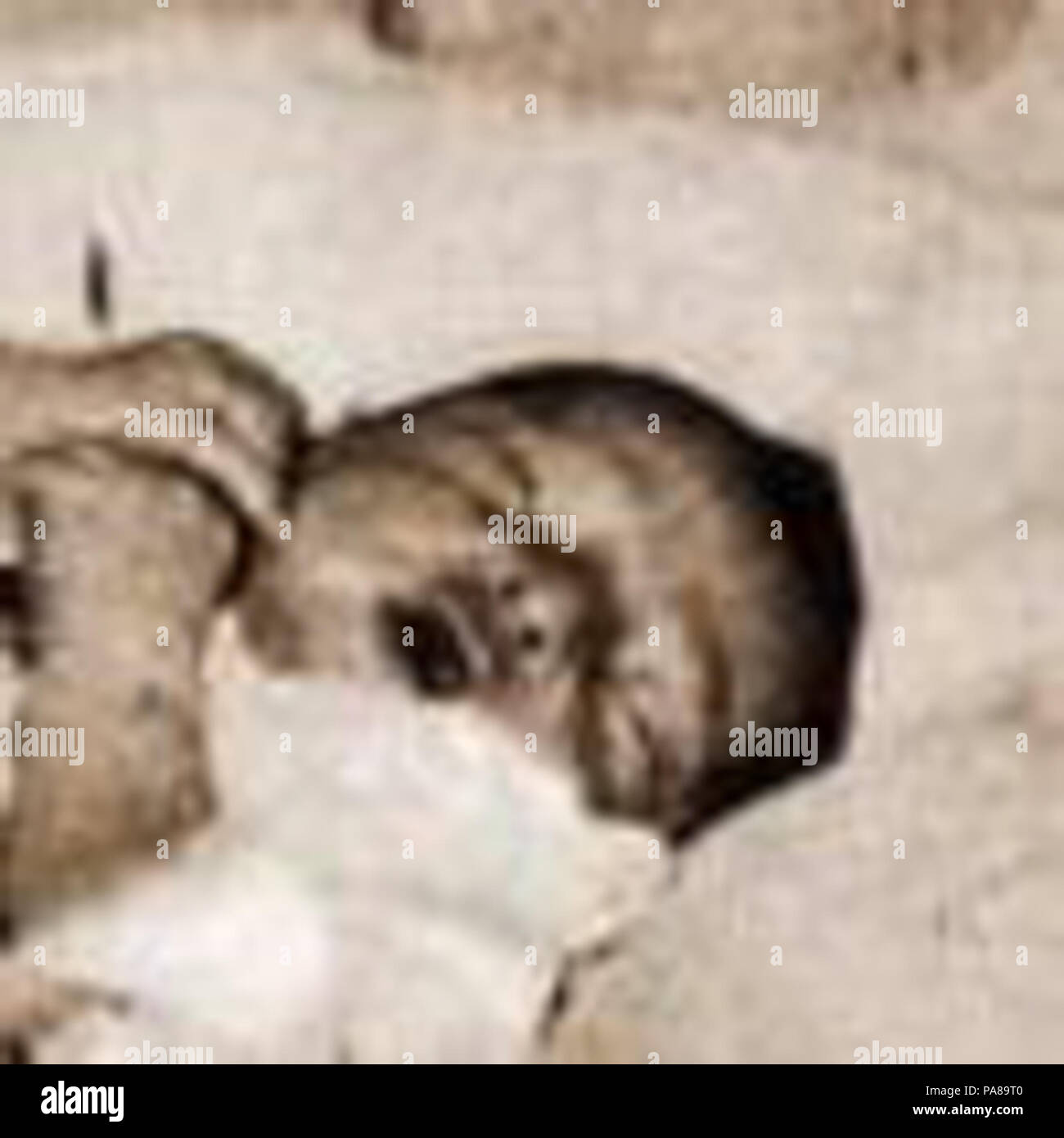 97 Fuad II of Egypt 1952 (cropped Stock Photo - Alamy