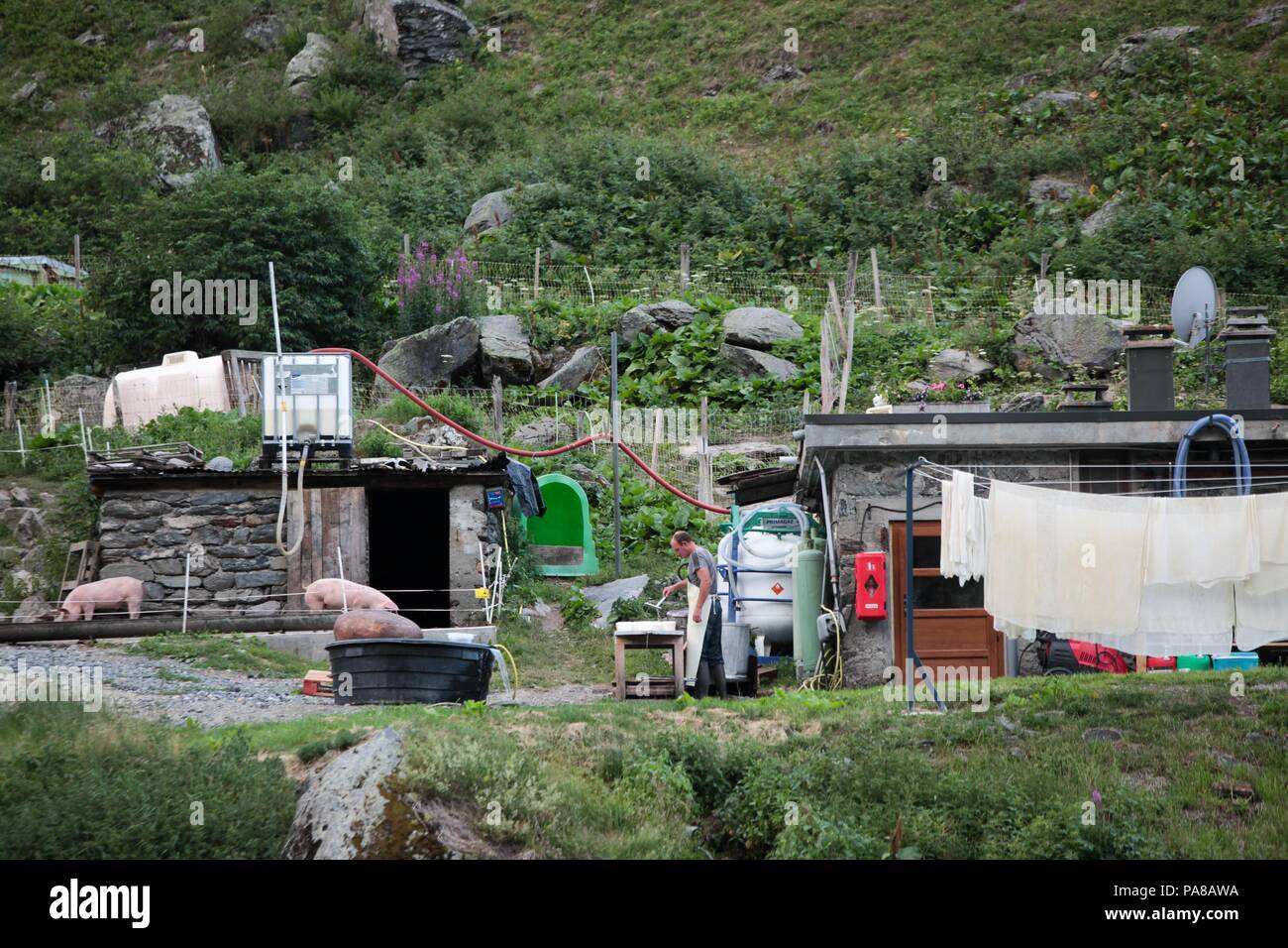 Alps, Summer, Courchevel, France, pig farm Stock Photo - Alamy