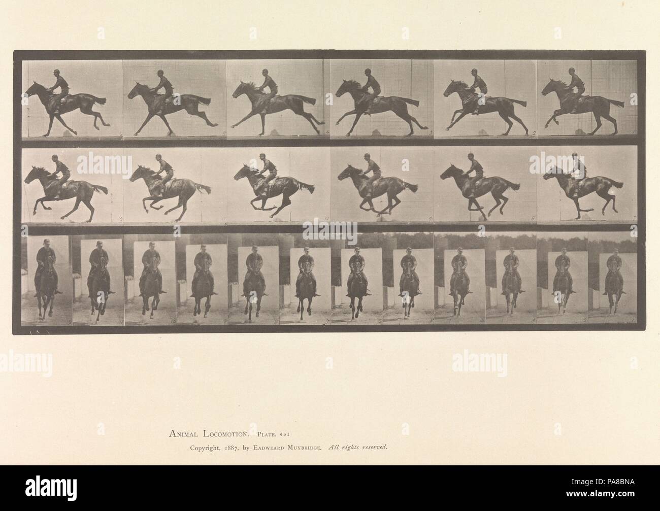 Eadweard Muybridge Photos