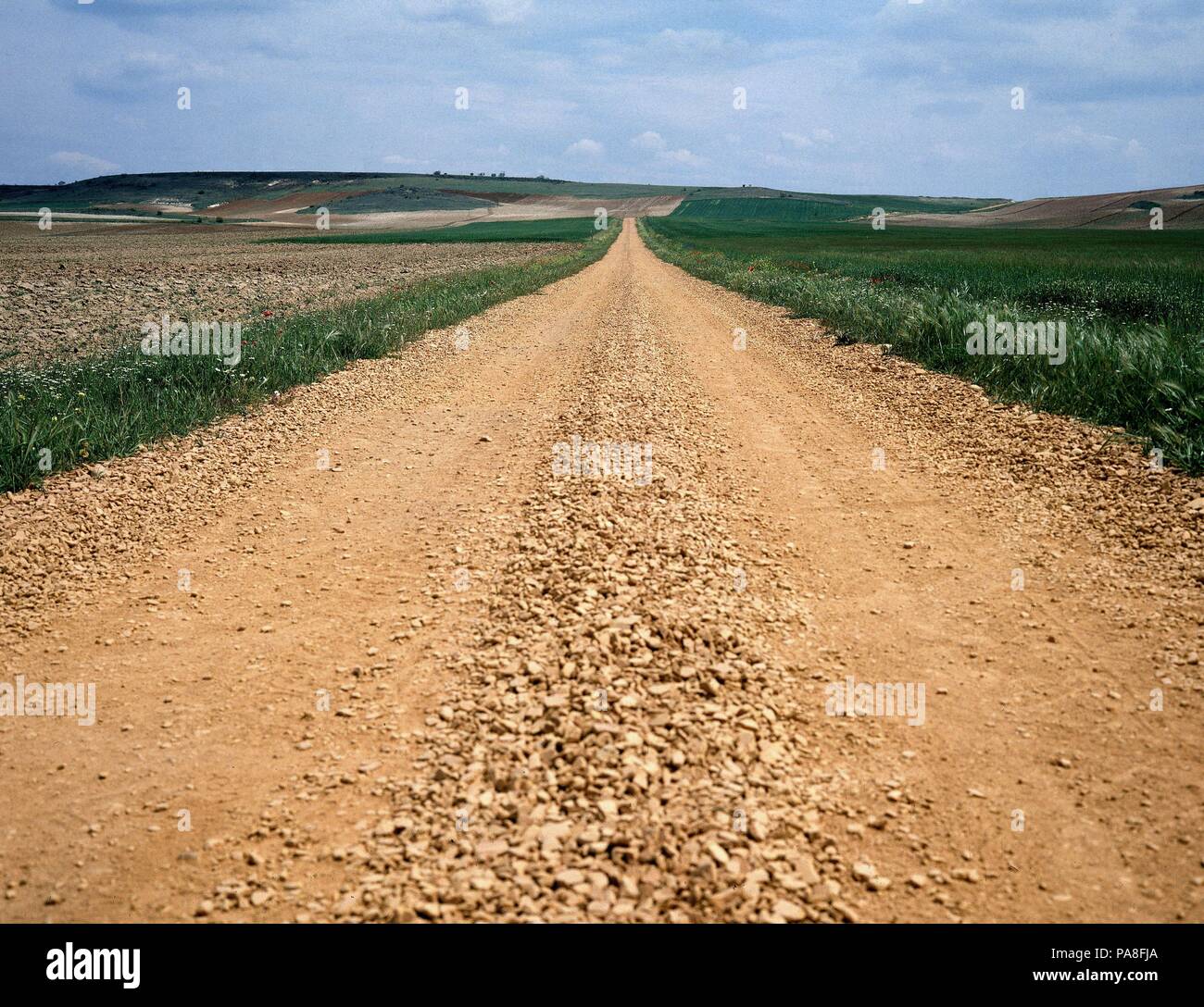 Camarma de esteruelas hi-res stock photography and images - Alamy